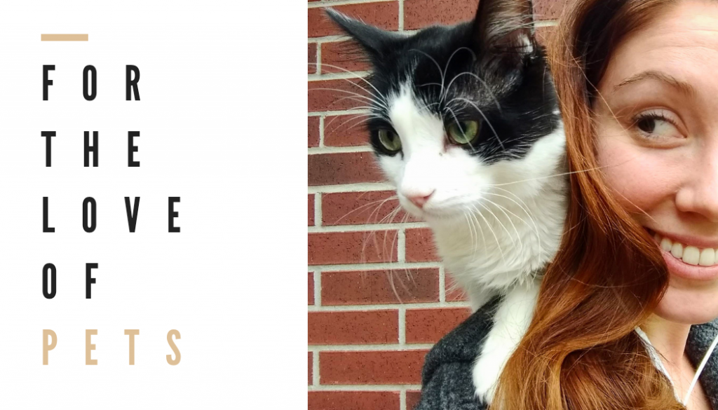 For The Love Of Pets - Kate Rouzer - Portal
